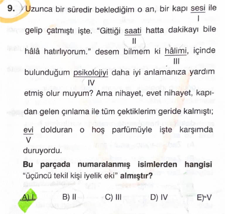 Turkce | PDF