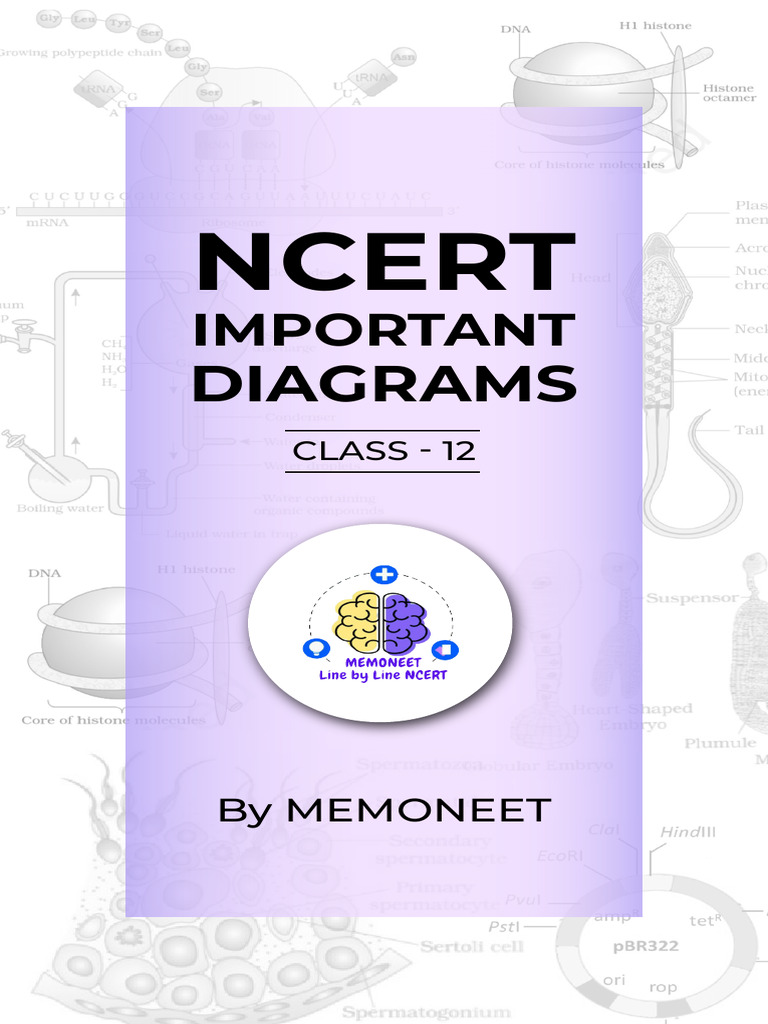 Class 12 - Biology Important Diagrams | PDF | Menstrual Cycle | Dna