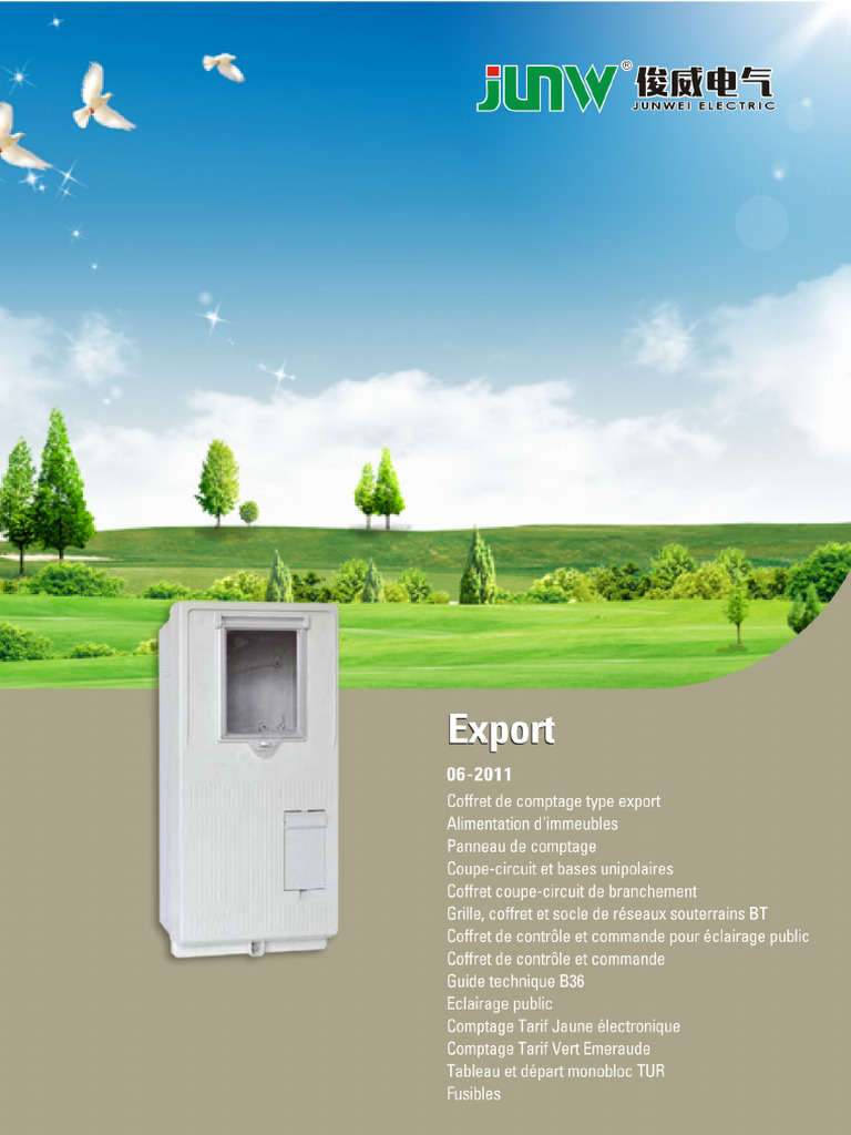 Electric Meter Box | PDF