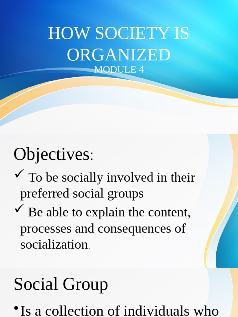 Understanding Social Group Dynamics | PDF