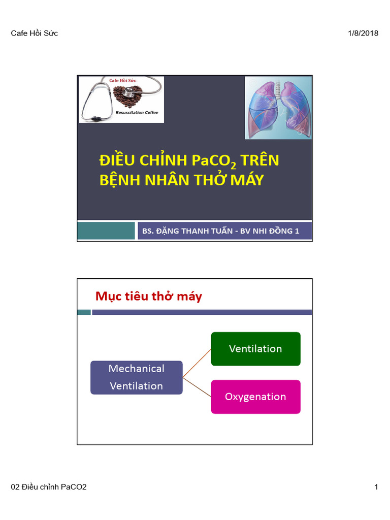 Điều chỉnh PACO2 trên bệnh nhân thở máy | PDF