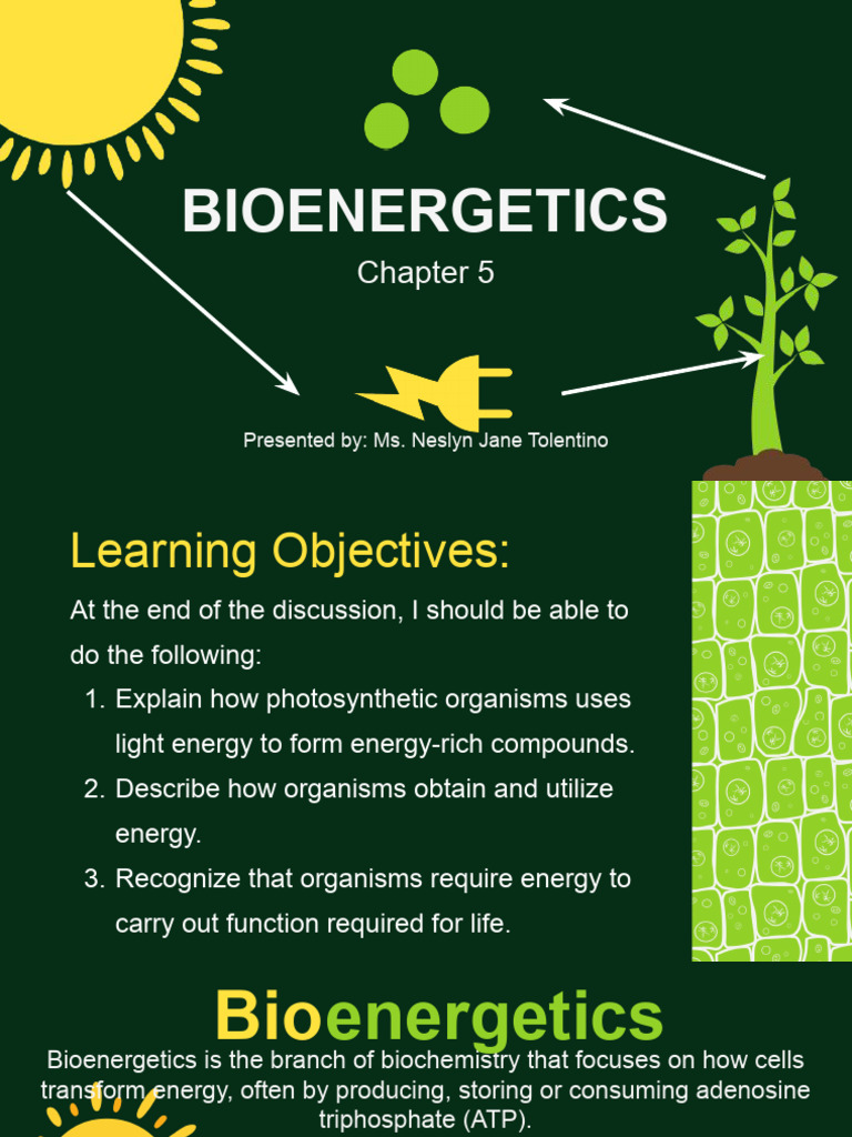 Chapter 5 Bioenergetics - PPTX 1 | PDF | Photosynthesis | Photochemistry