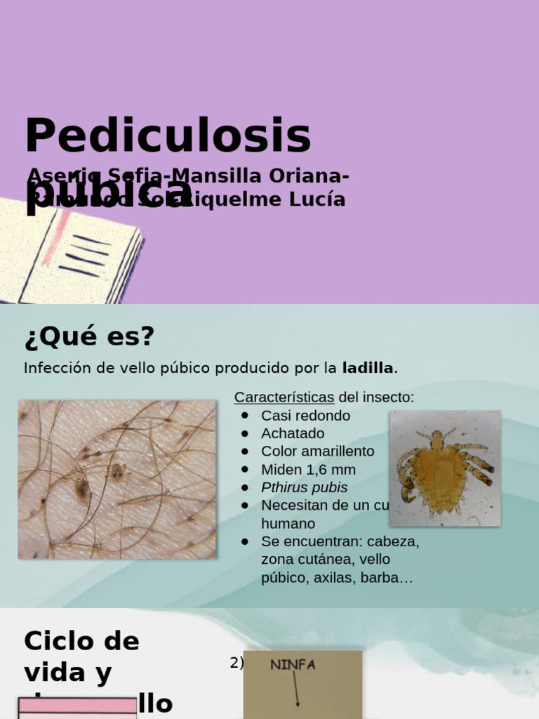 Pediculosis Púbica | PDF | Enfermedades y trastornos