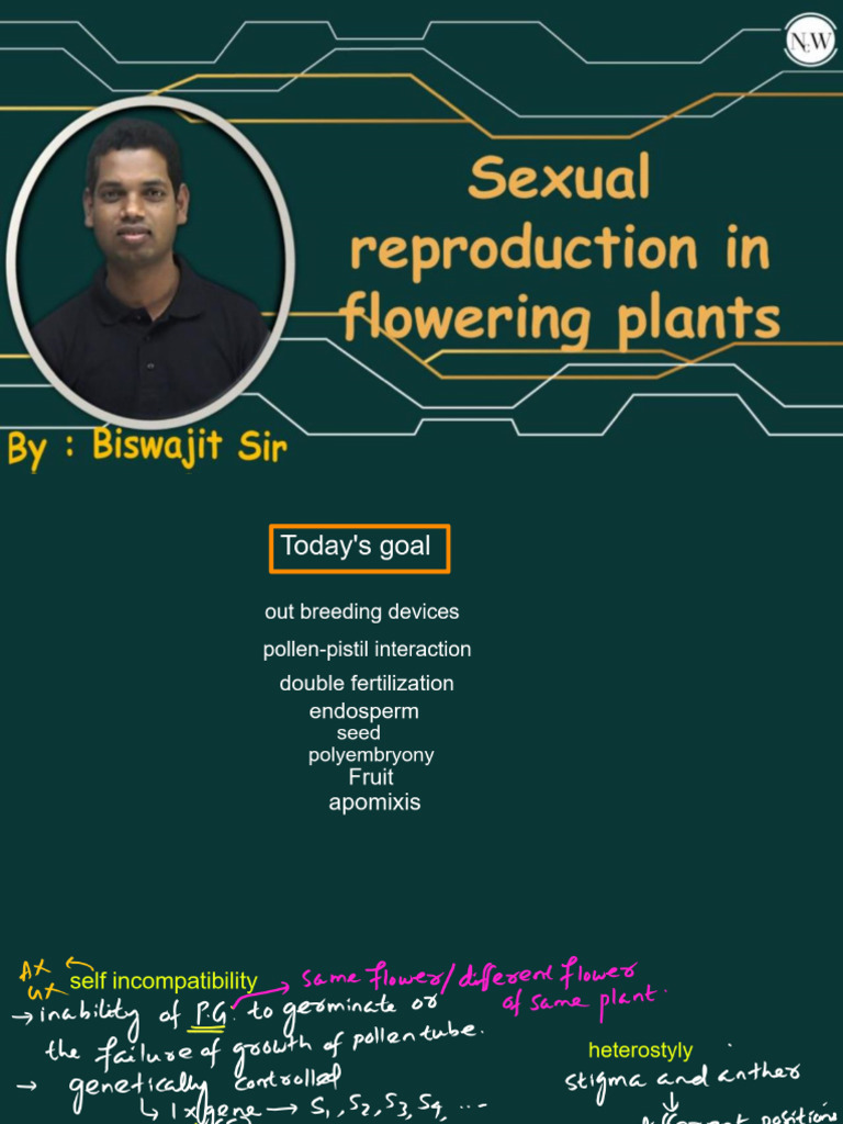 Sexual Reproduction in Flowering Plants 05 - Class Notes 2 | PDF