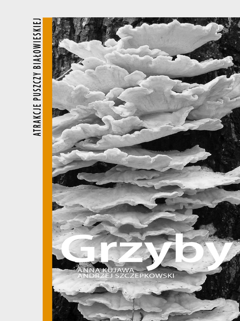 Grzyby. Andrzej Szczepkowski | PDF