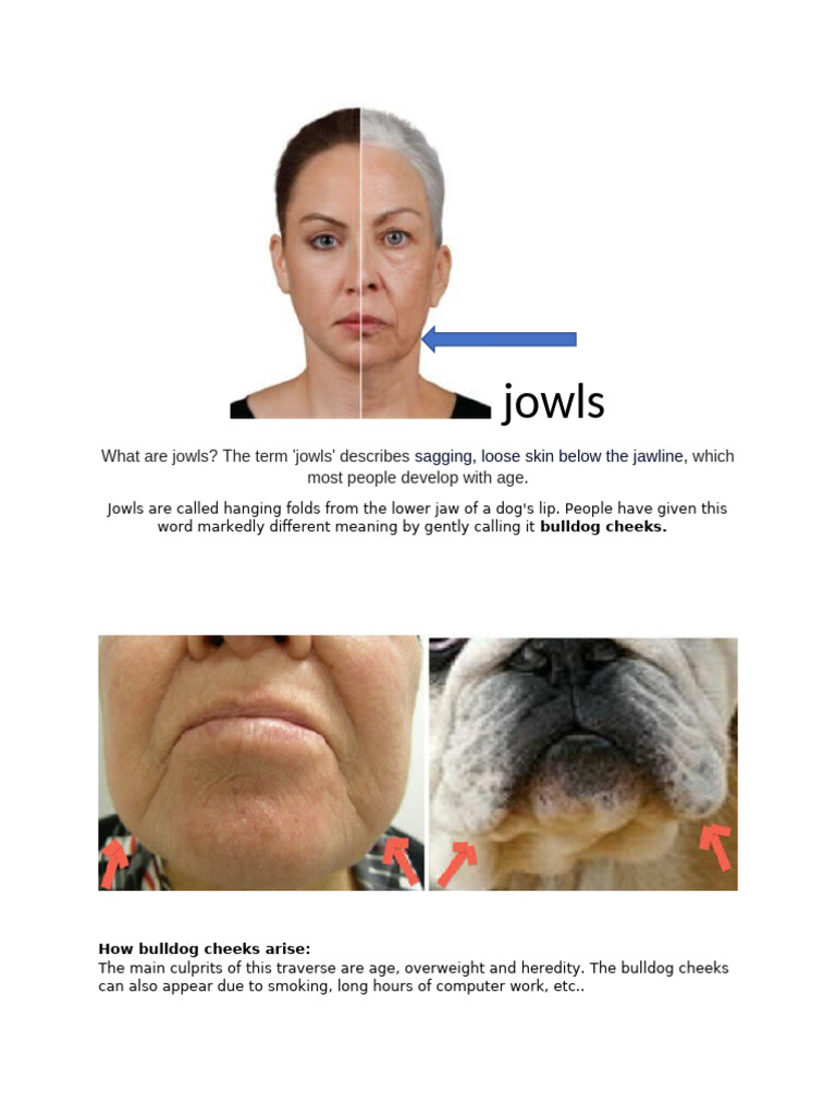 Jaw Muscle | PDF | Mouth | Human Anatomy