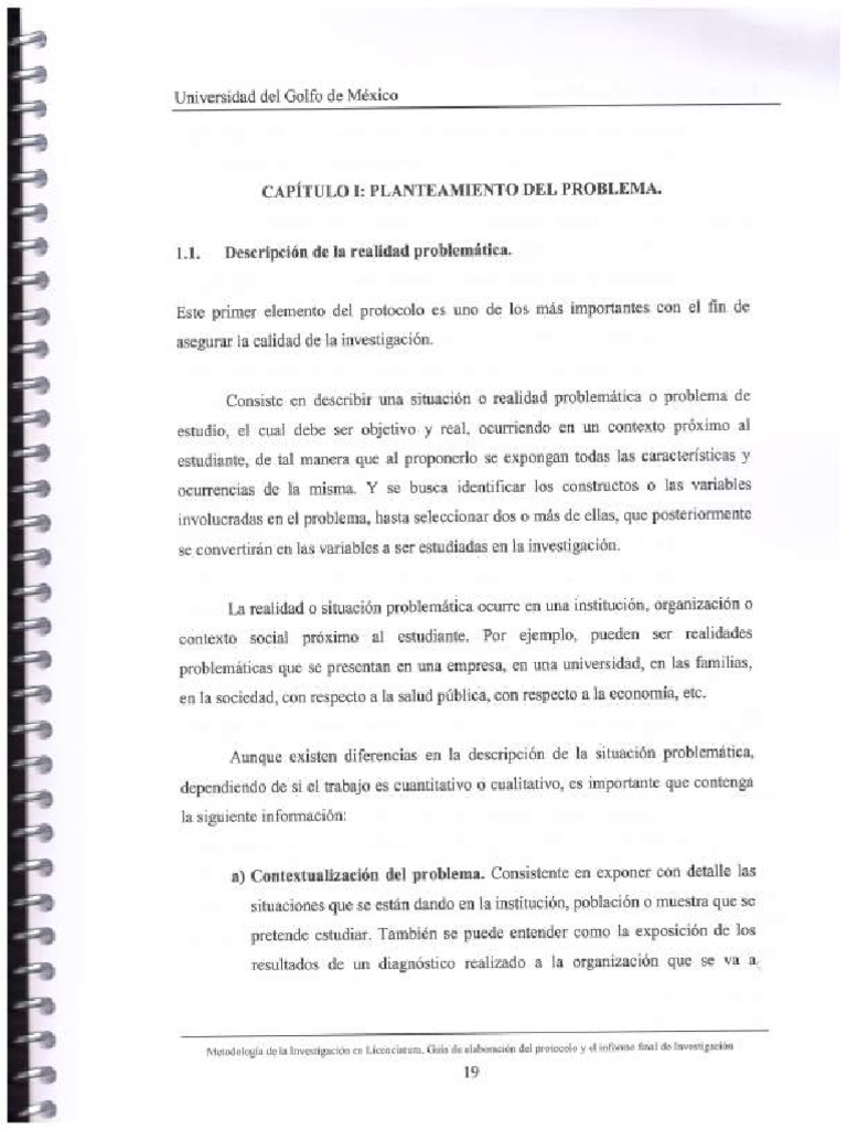 Descripción de La Realidad Problemática | PDF