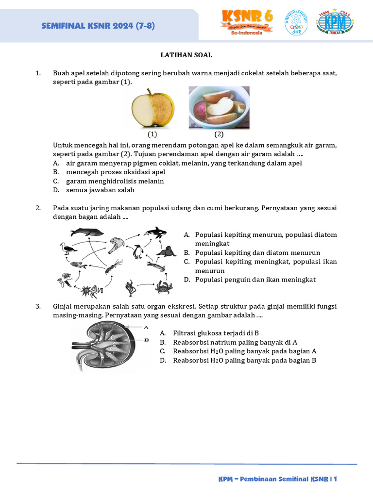 Soal Semifinal KSNR 2024 Kelas 7-8 | PDF