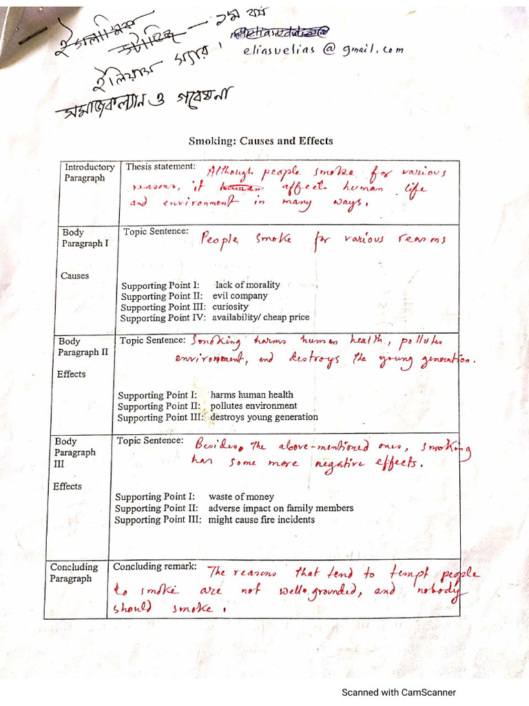 Essay Writing Handout - Elias Sir | PDF