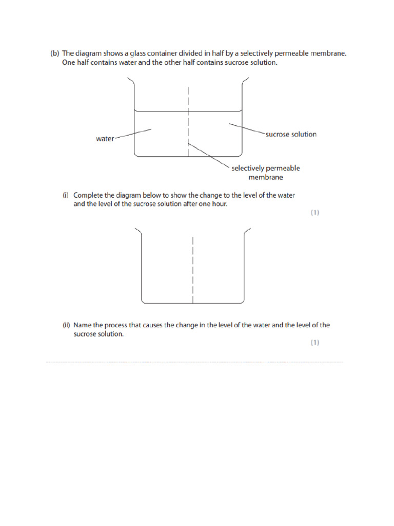 Osmosis Pdf