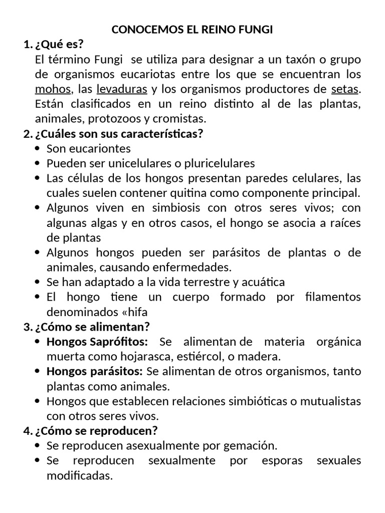 Conocemos El Reino Fungi | PDF