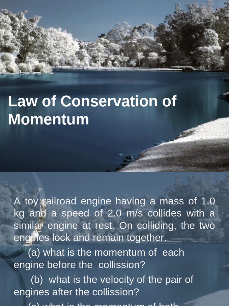 Momentum Conservation in Collisions | PDF | Collision | Momentum