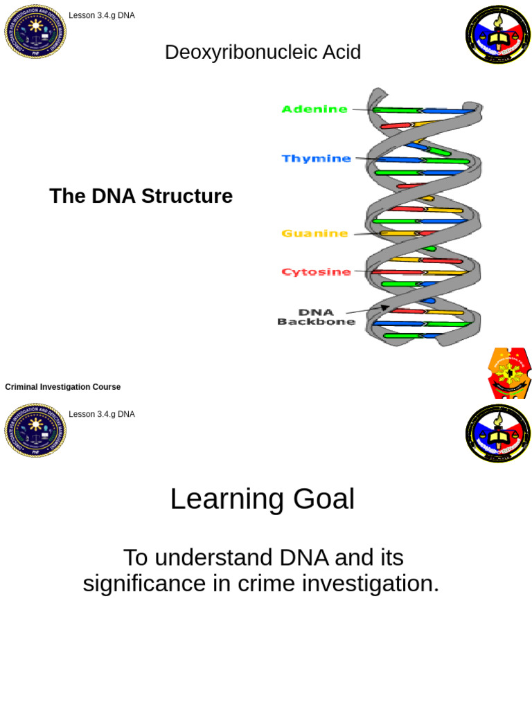 3.4.g-DNA | PDF | Dna Profiling | Dna