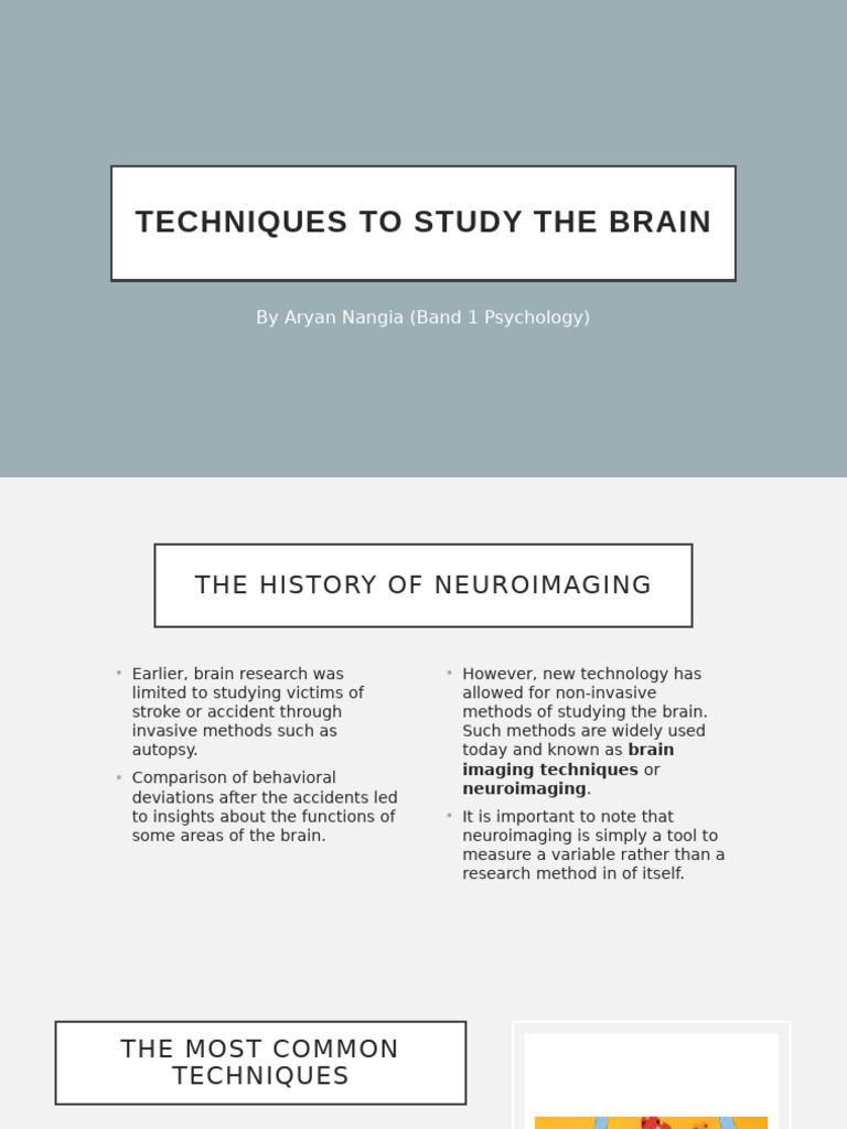 Brain Scanning Techniques - Neuroimaging | PDF | Neuroimaging | Functional Magnetic Resonance ...