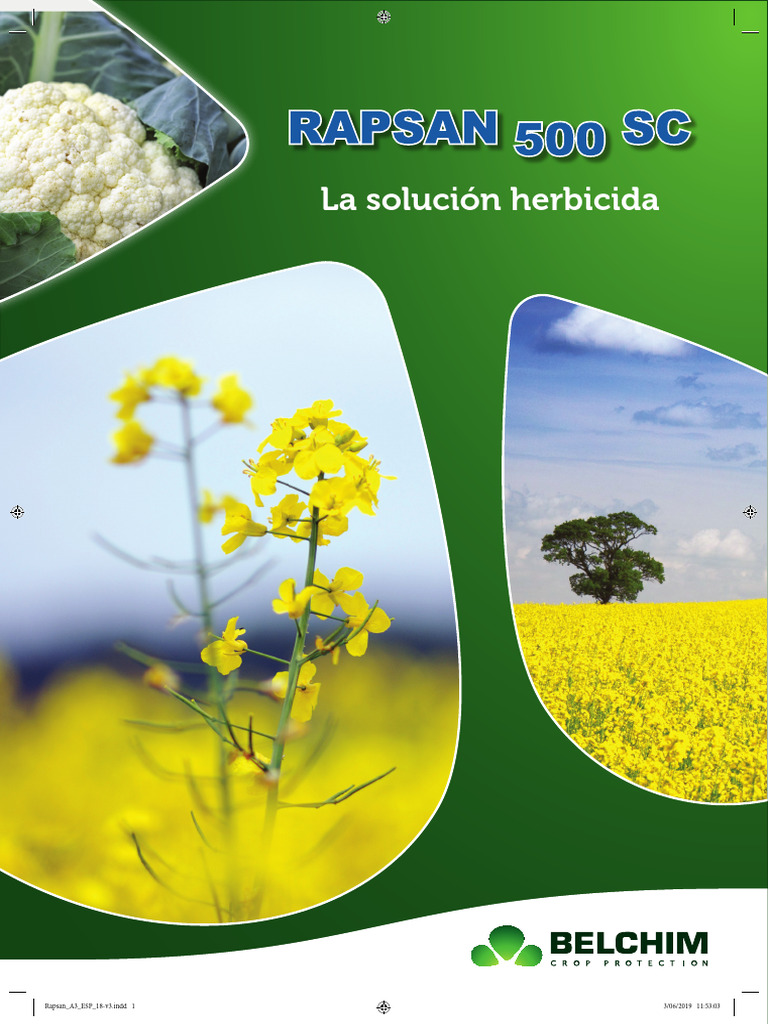 Rapsan LEAFLET | PDF | Plantas | Cultivos