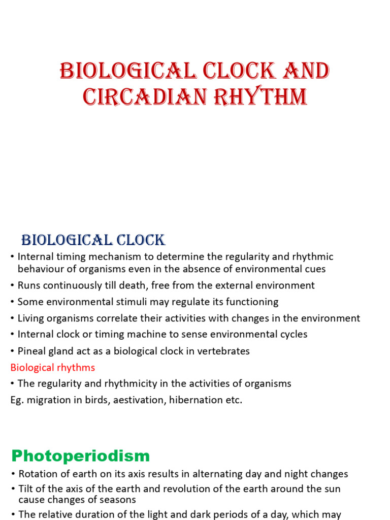 Biological Clock and Circadian Rhythm | PDF | Circadian Rhythm | Zoology