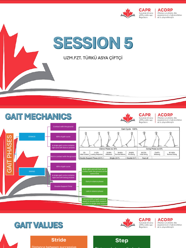 Session 5 | PDF | Anatomical Terms Of Motion | Foot