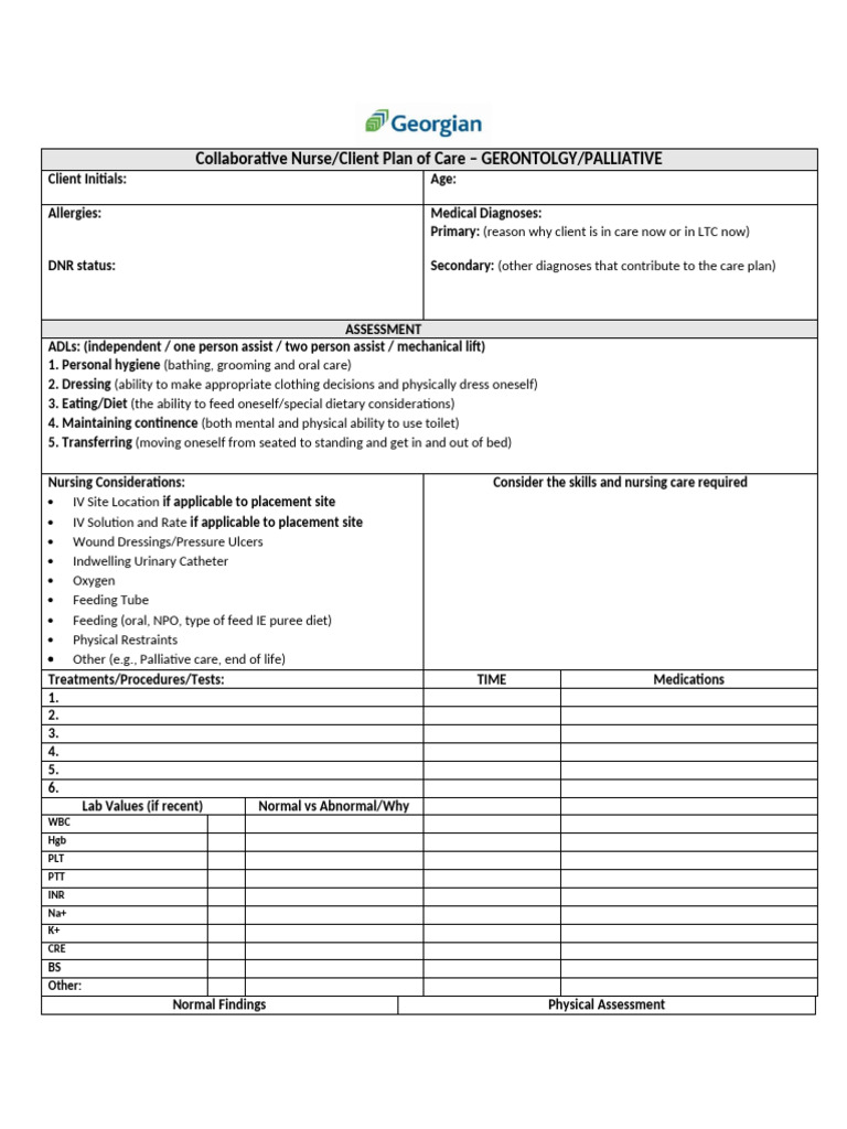 Nursing Care Plan Template | PDF | Edema | Palliative Care