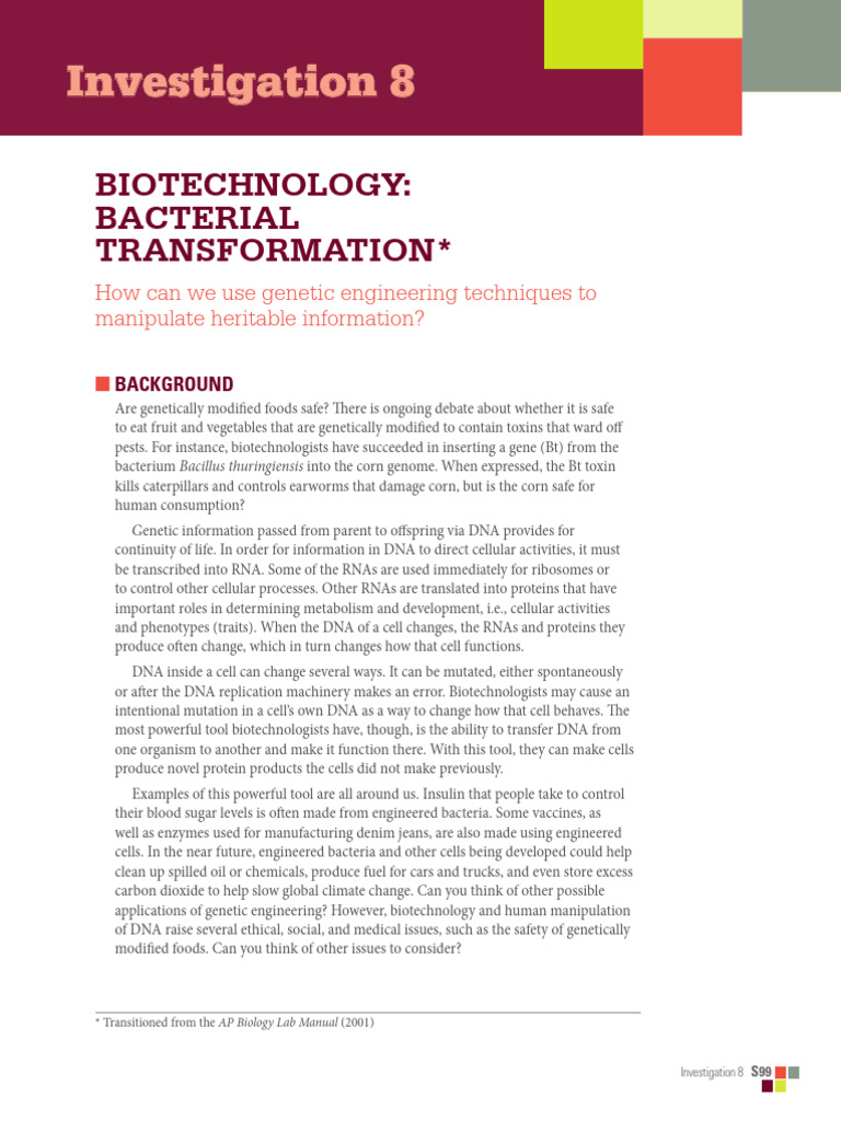 Bacterial Transformation in Biotechnology | PDF | Genetics | Bacteria