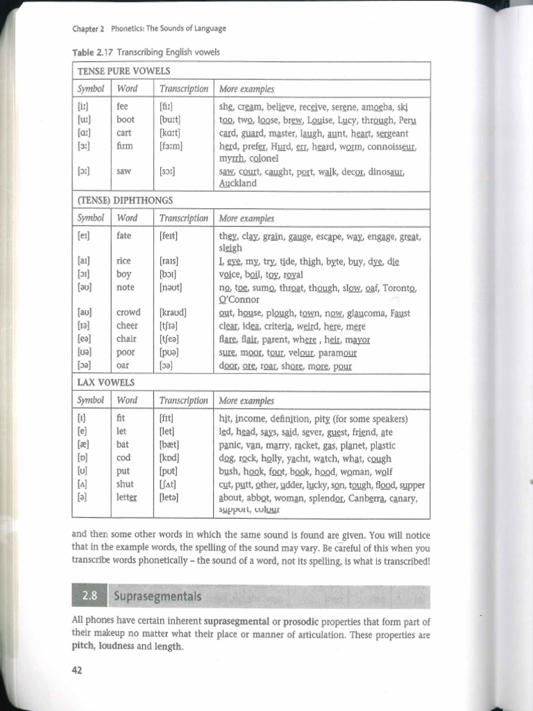 Phonology and Morphology Book | PDF