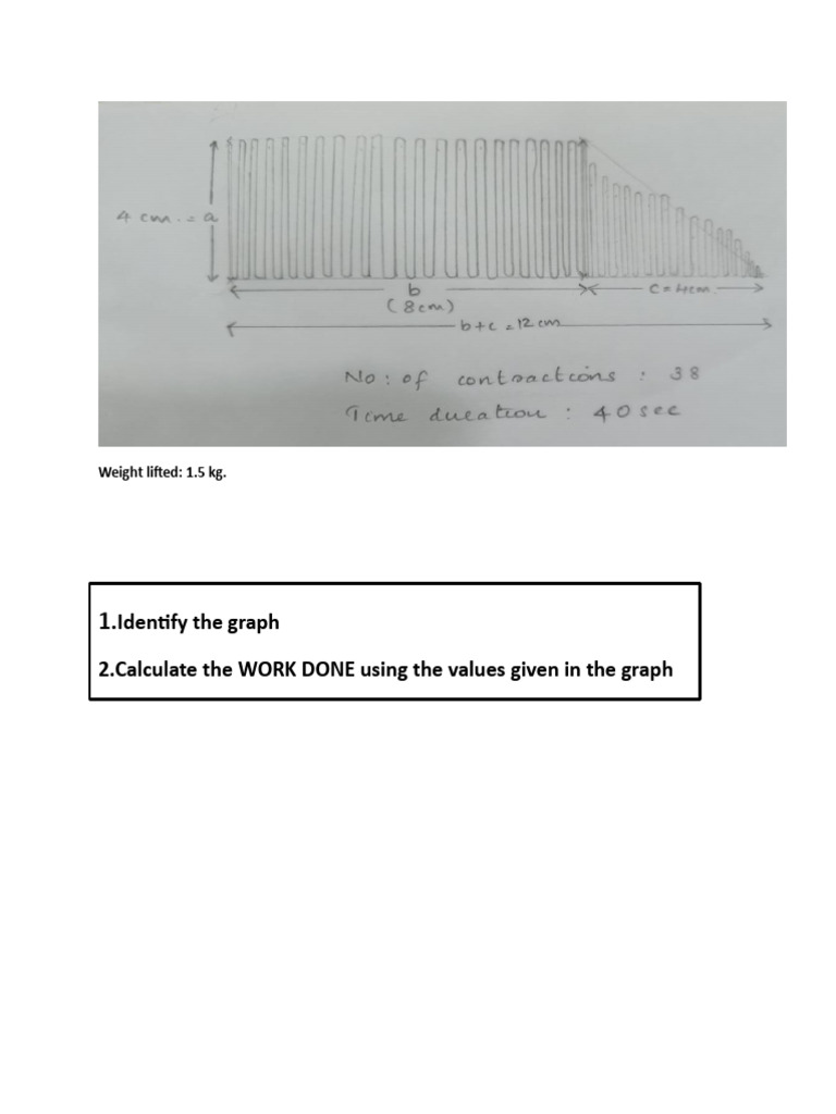 Mosso | PDF