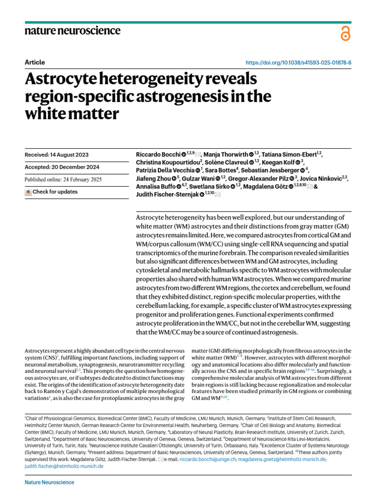 Astrocyte Heterogeneity Reveals Region-Specific Astrogenesis in The ...