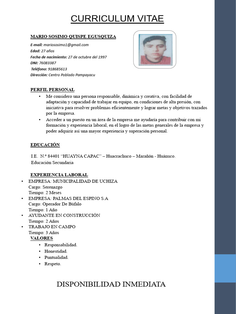 Cv Mario Quispe 1 | PDF