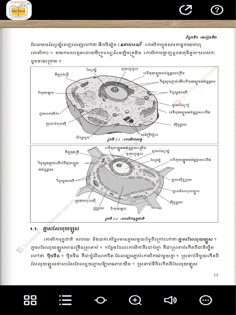 Biology Grade 11 | PDF