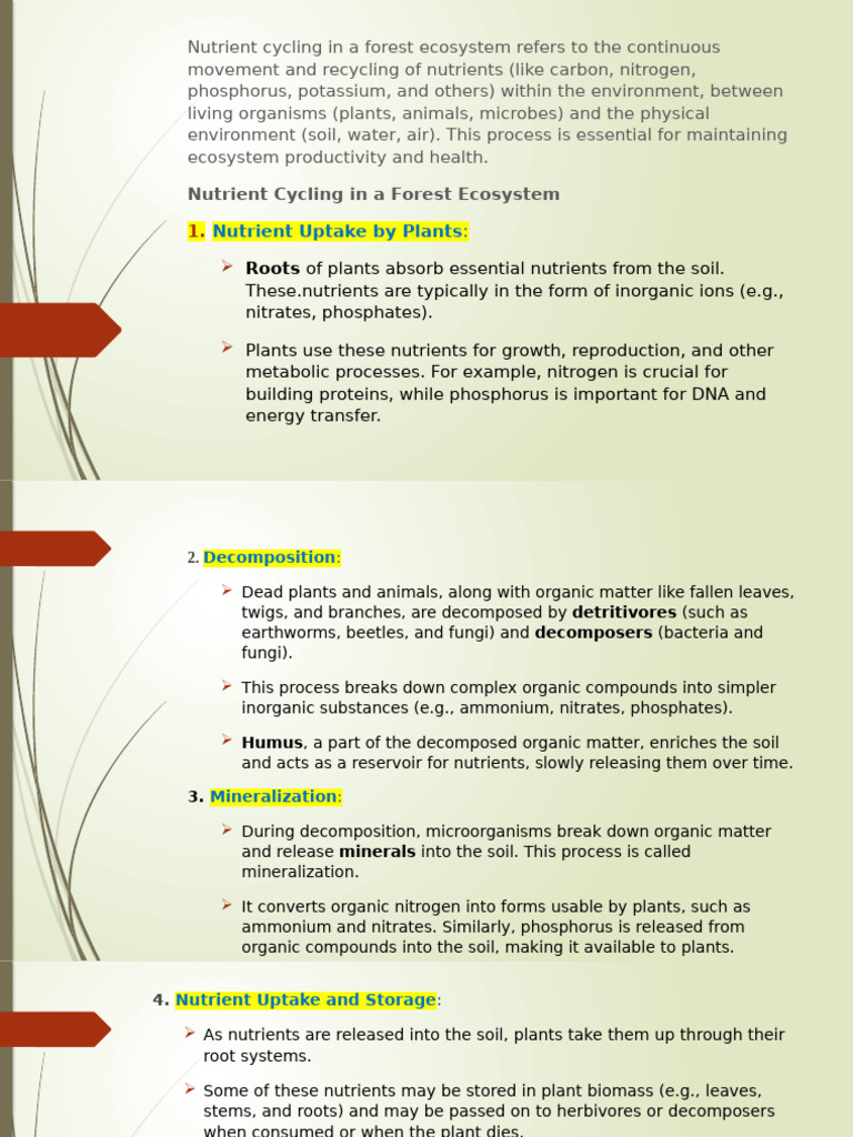 Nutrient Cycle in Forest Ecosystem | PDF | Decomposition | Soil