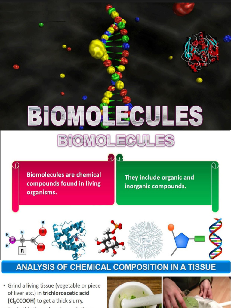 Biomolecules | PDF