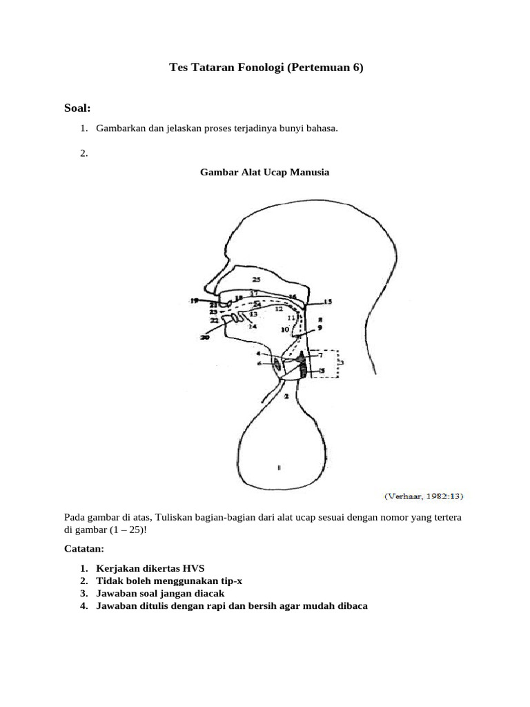 (PERTEMUAN 6) Tes Tataran Fonologi PGSD | PDF