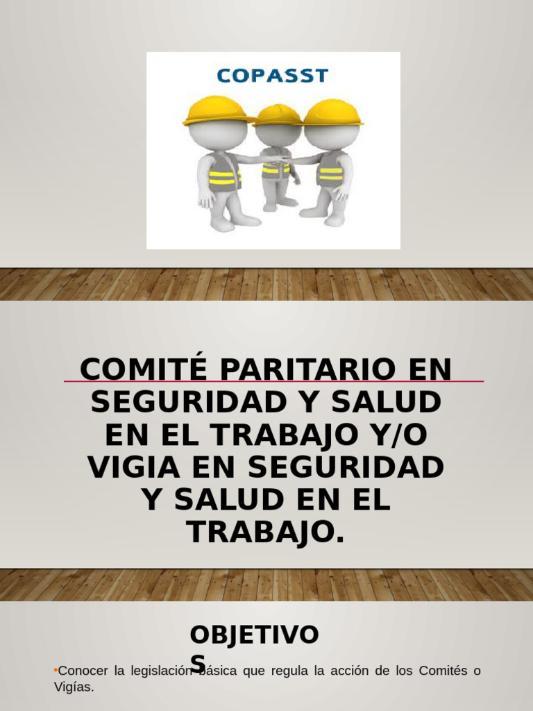Comité Paritario en Seguridad Laboral | PDF
