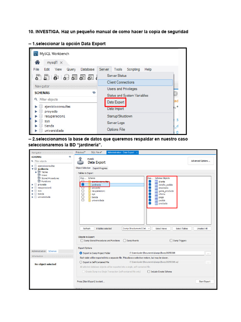 Ejercicio10 Manual | PDF