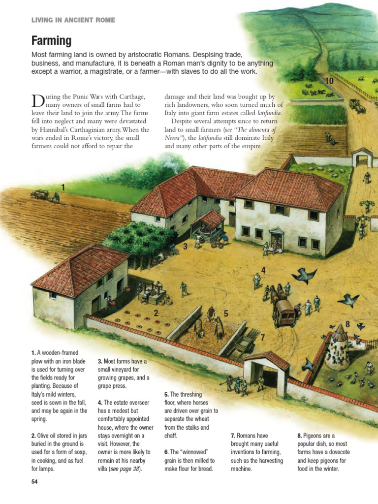Farming in Ancient Rome: Practices and Challenges | PDF | Carthage ...
