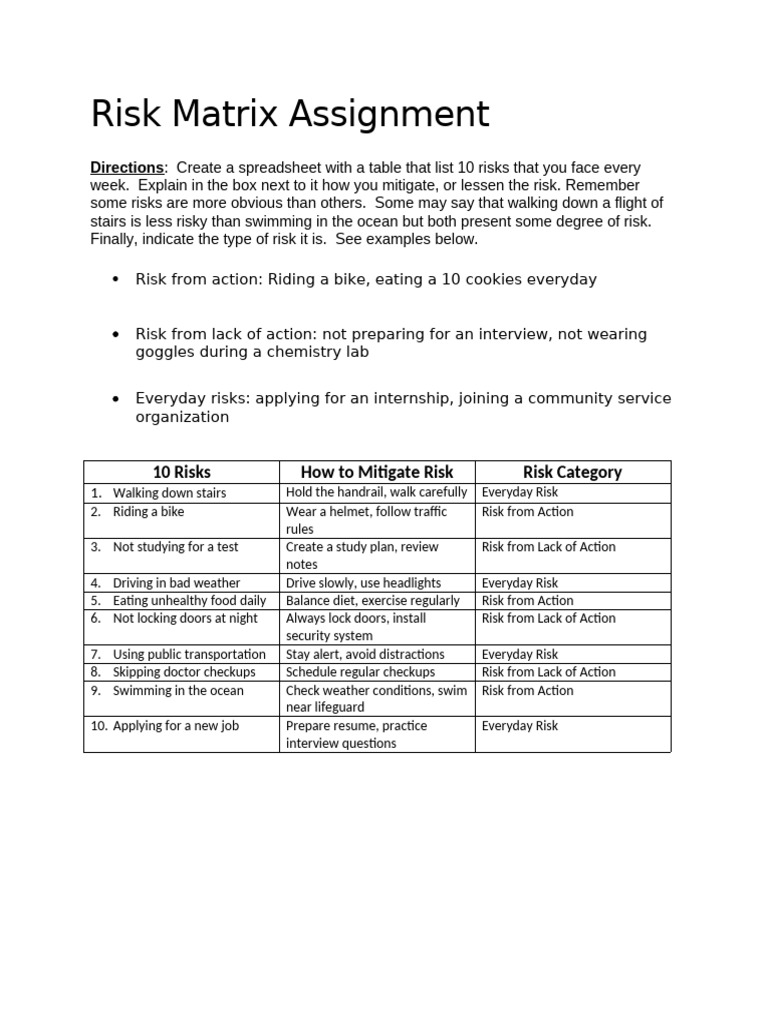 Risk Matrix Assignment | PDF