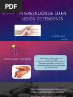 Seminario Zona Flexora | PDF | Extremidades (anatomía) | Sistema musculoesquelético
