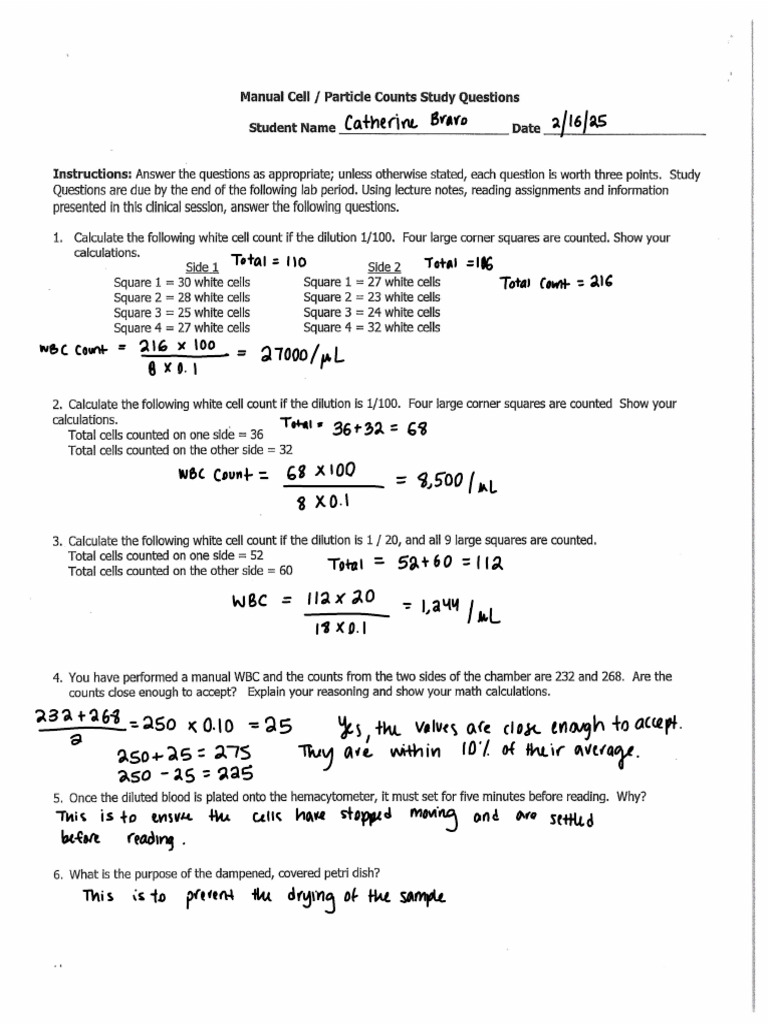 Hemocytometer Worksheet | PDF