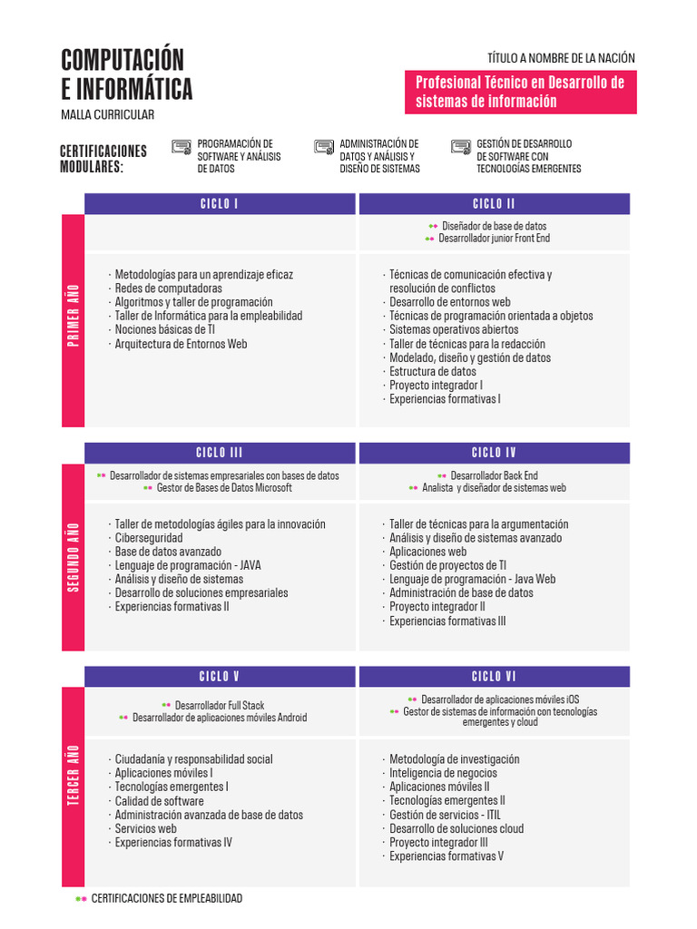 Malla Curricular Computacion e Informatica 5 | PDF | Aplicación movil | Software de la aplicacion