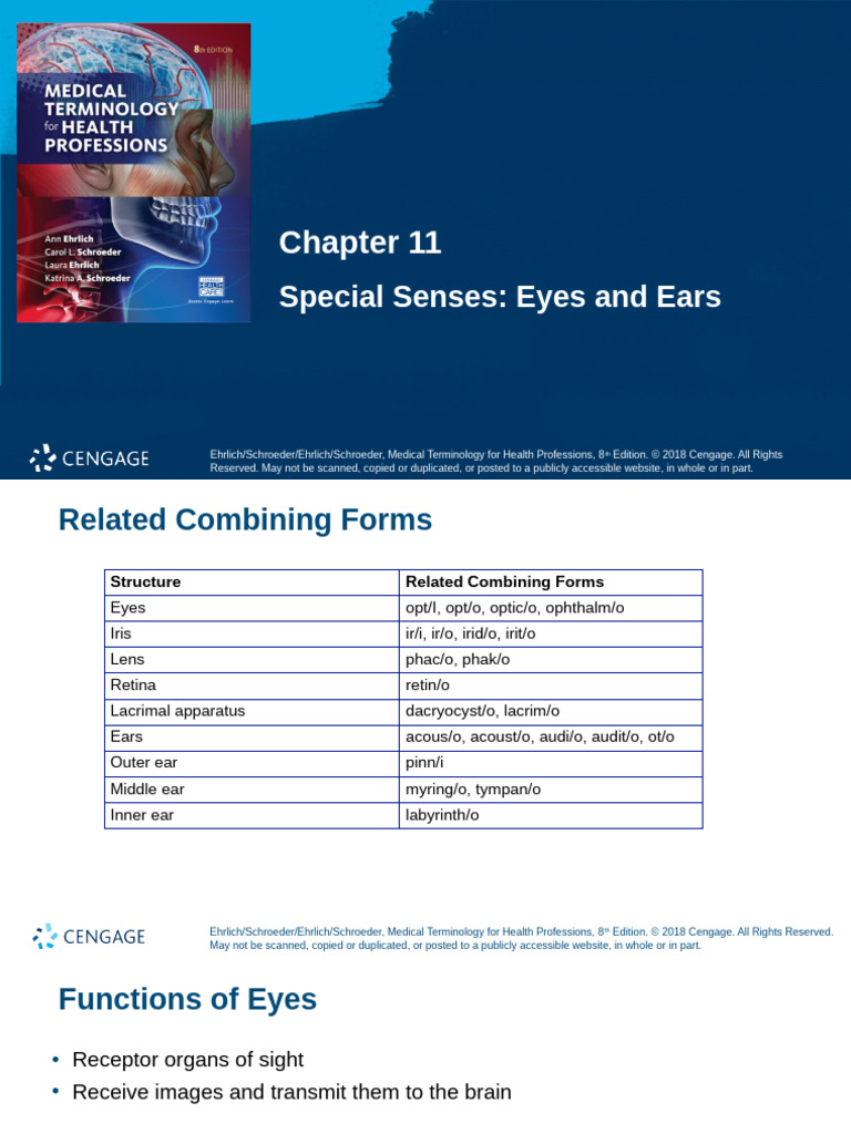 Anatomy of Eyes and Ears Explained | PDF | Ear | Glaucoma