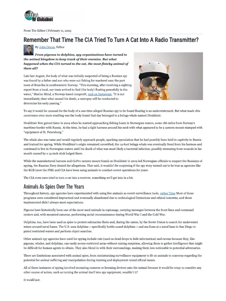 Remember That Time The CIA Tried To Turn A Cat Into A Radio Transmitter ...