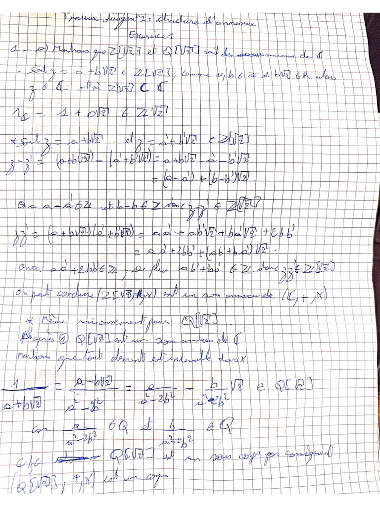 Structure Algébrique (Anneaux) | PDF
