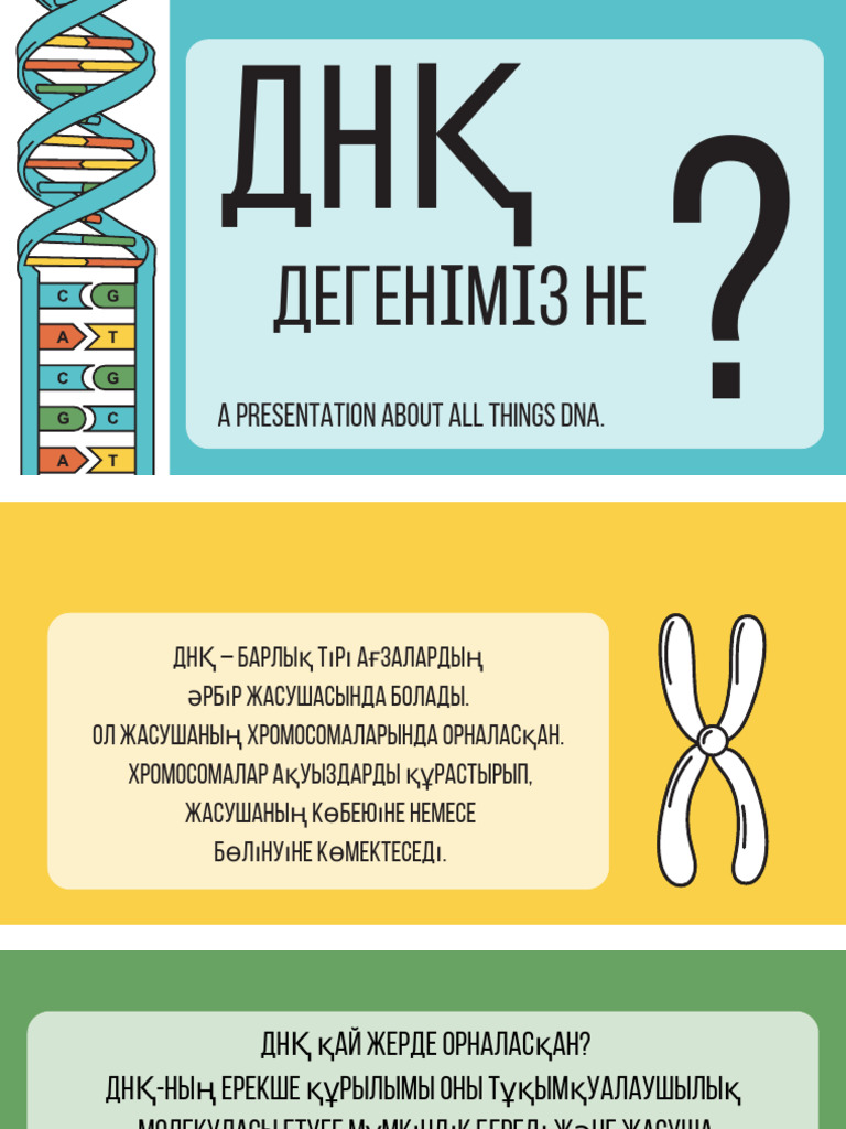 DNA Biology Science Education Presentation in Blue Orange Illustrated ...