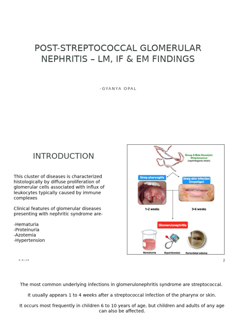 Presentation On Microscopic Findings of Post Streptococcal Glomerular ...