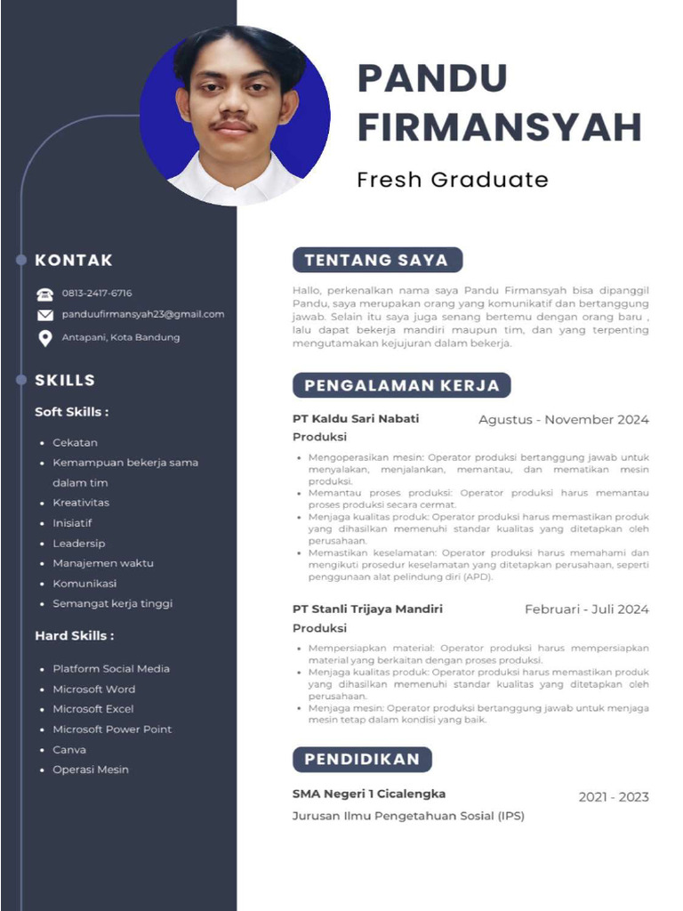 CV Pandu Firmansyah | PDF