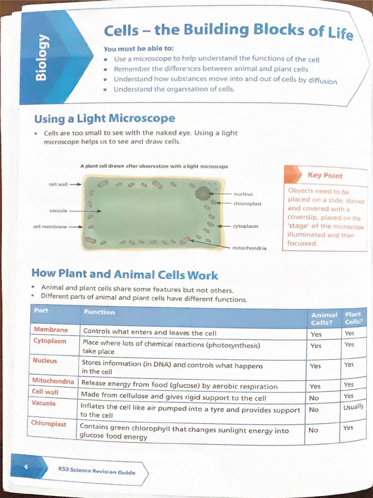 Cell-The Building Blocks of Life | PDF