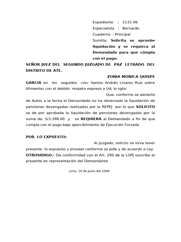 Aprueba Liquidacion y Requiere | PDF