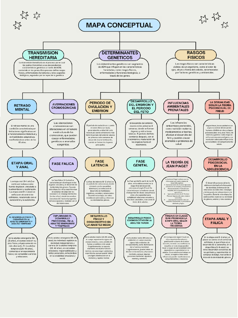 mapa conceptual | PDF