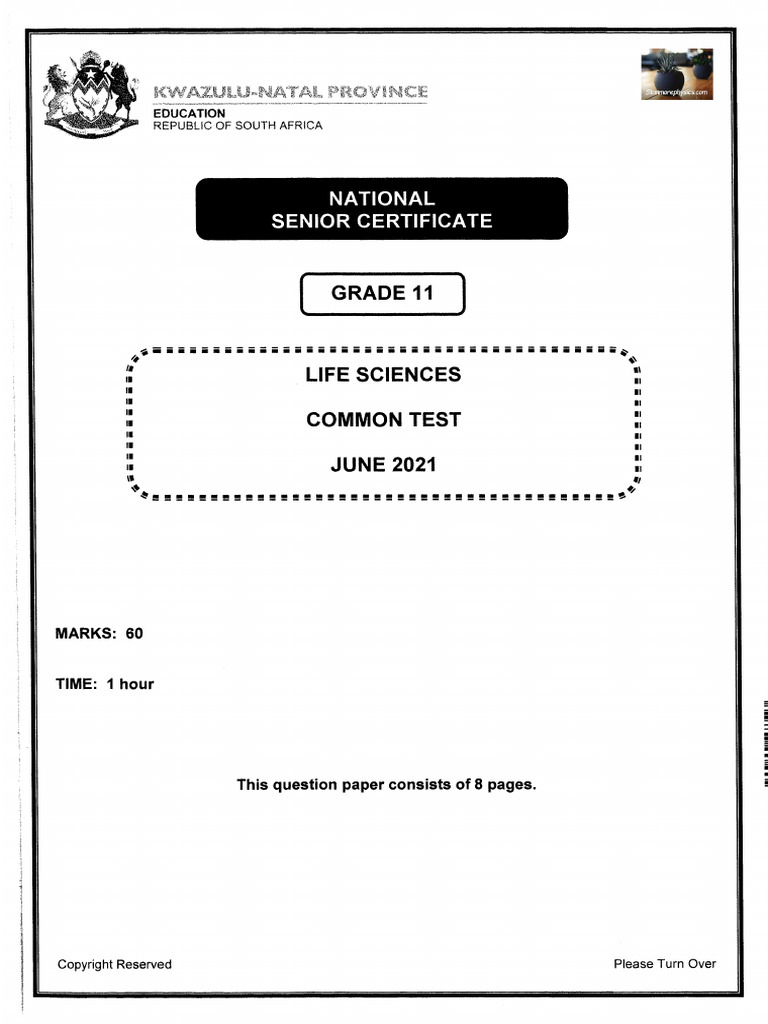 Stanmore Physics Download Guide | PDF