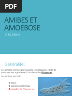 Amibiase Ou Amoebose | PDF | Maladies et troubles | Épidémiologie