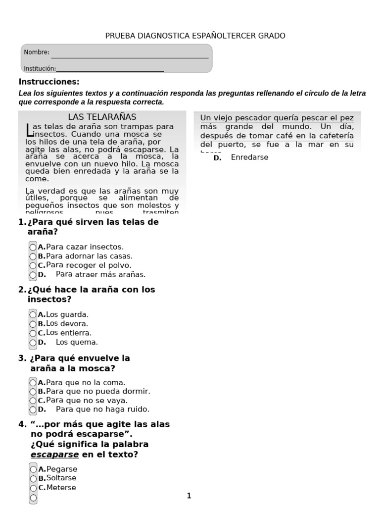Prueba Diagnóstica Español 3er Grado | PDF | Telaraña | Araña